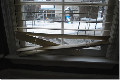 Our blinds have issues-WW • Really, Are You Serious?